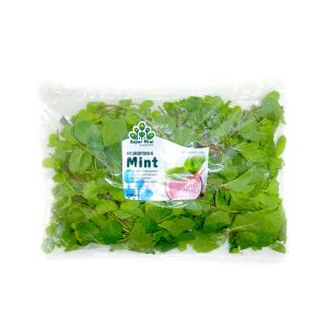 Sayur Mini Microgreen – Sayur Mini Microgreen